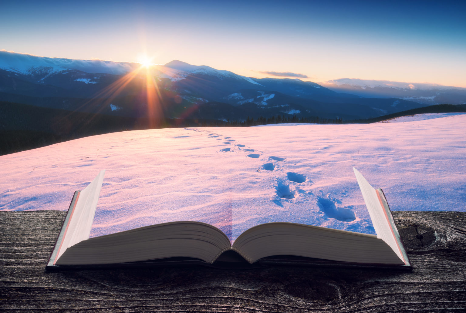 Winter Reading Guide LandmanLife winter-reading-guide-landmanlife